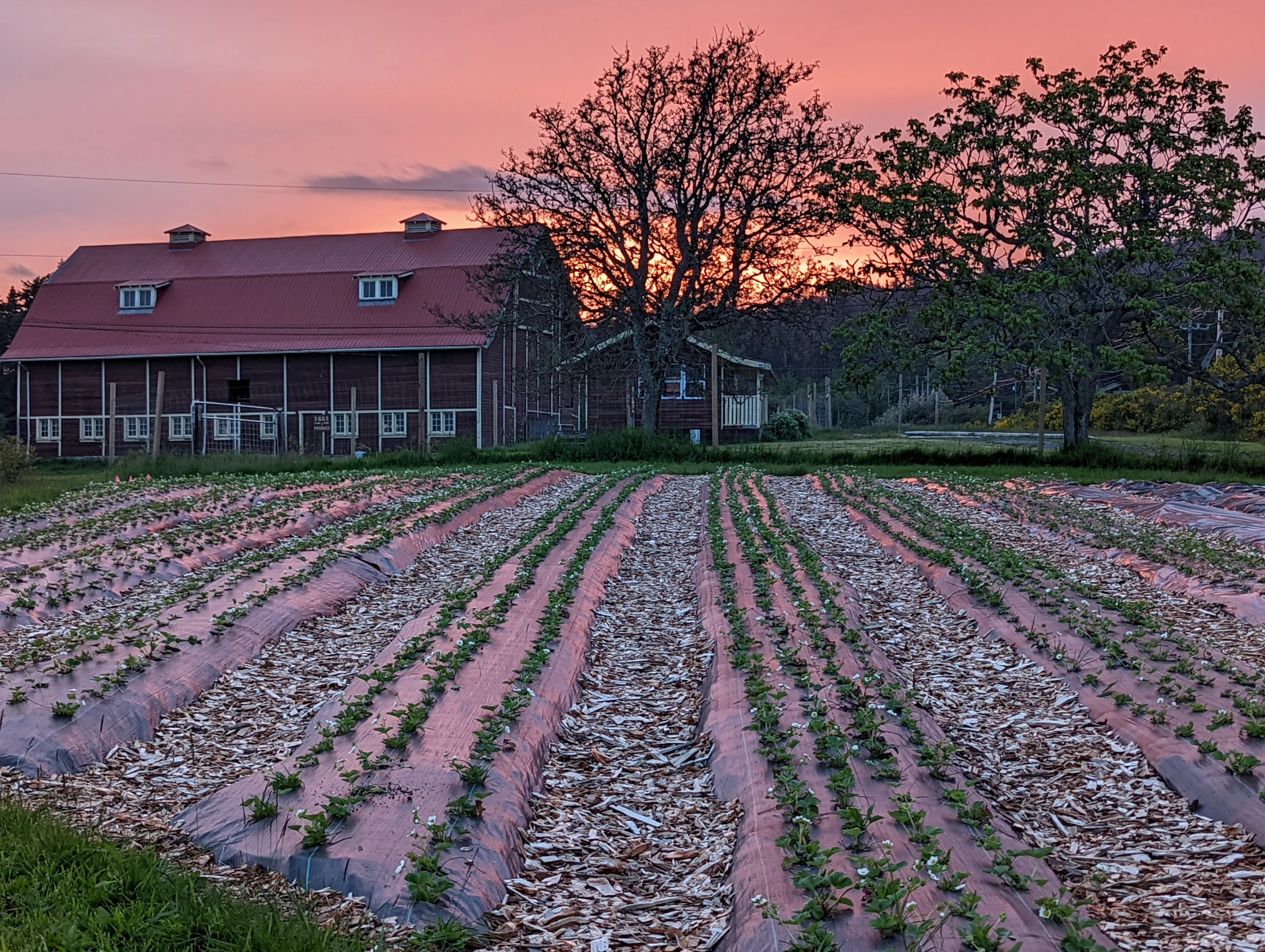 Historic Farm in Sooke BC | Woodside Farm